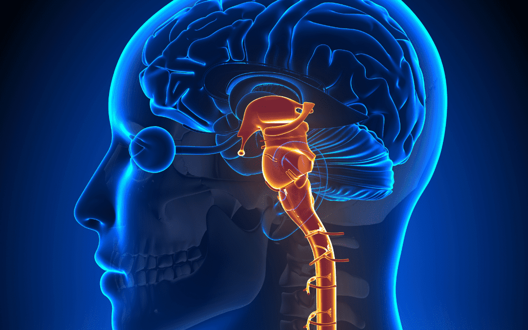 Understanding Key Brain Systems in Hypo and Hyperarousal in PTSD ...